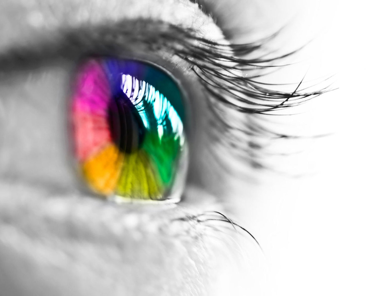 Andromeda Office - DIGITAL PRINTING - My CMS